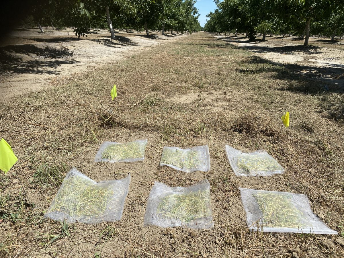 Research – Zhu-Barker Soil Biogeochemistry Lab – UW–Madison