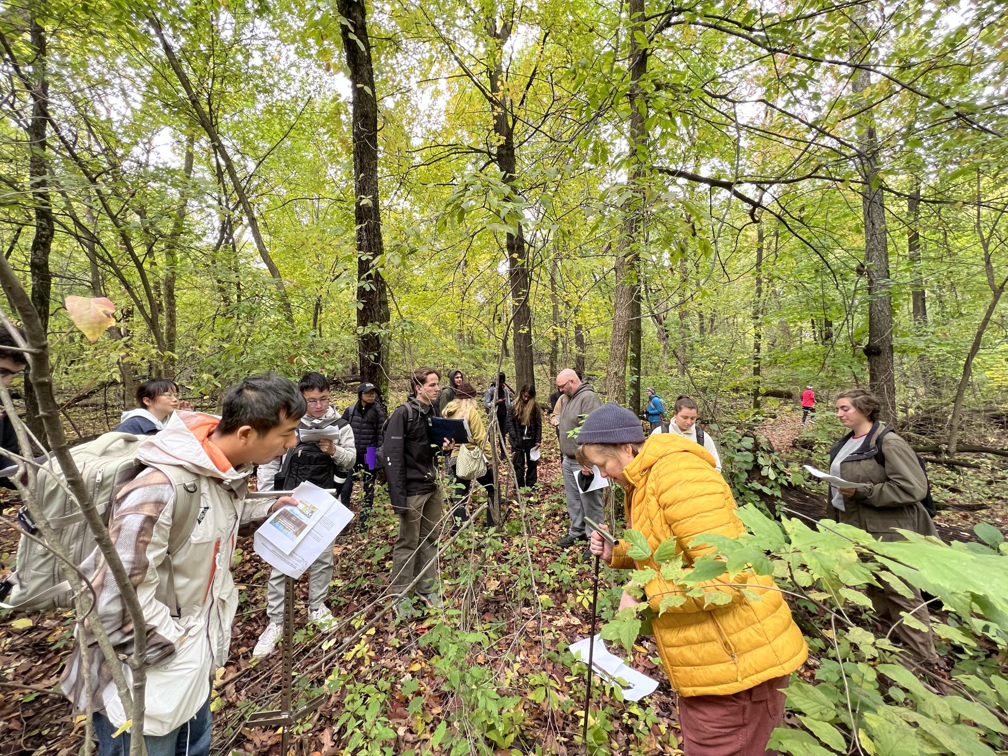 Teaching – Zhu-Barker Soil Biogeochemistry Lab – UW–Madison